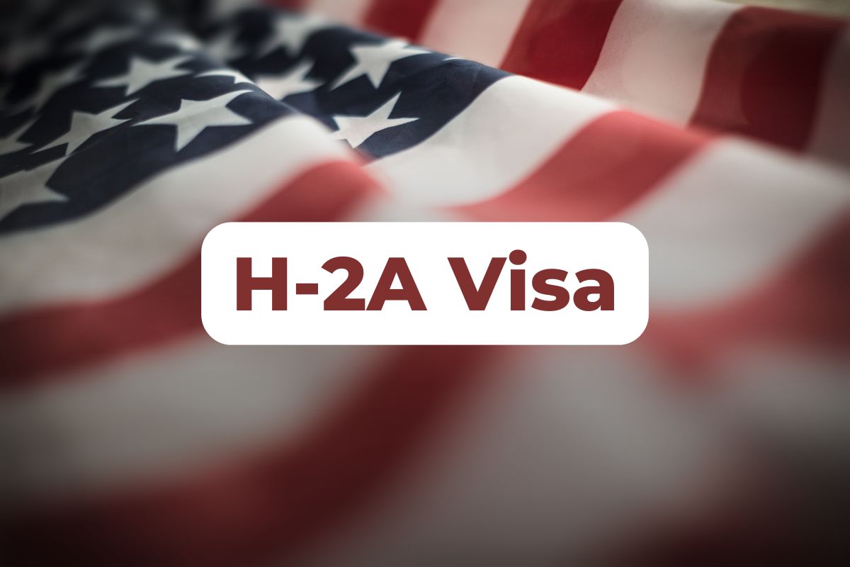 USCIS Launches New H-2A Visa Filing to Speed Up Seasonal Hiring ...